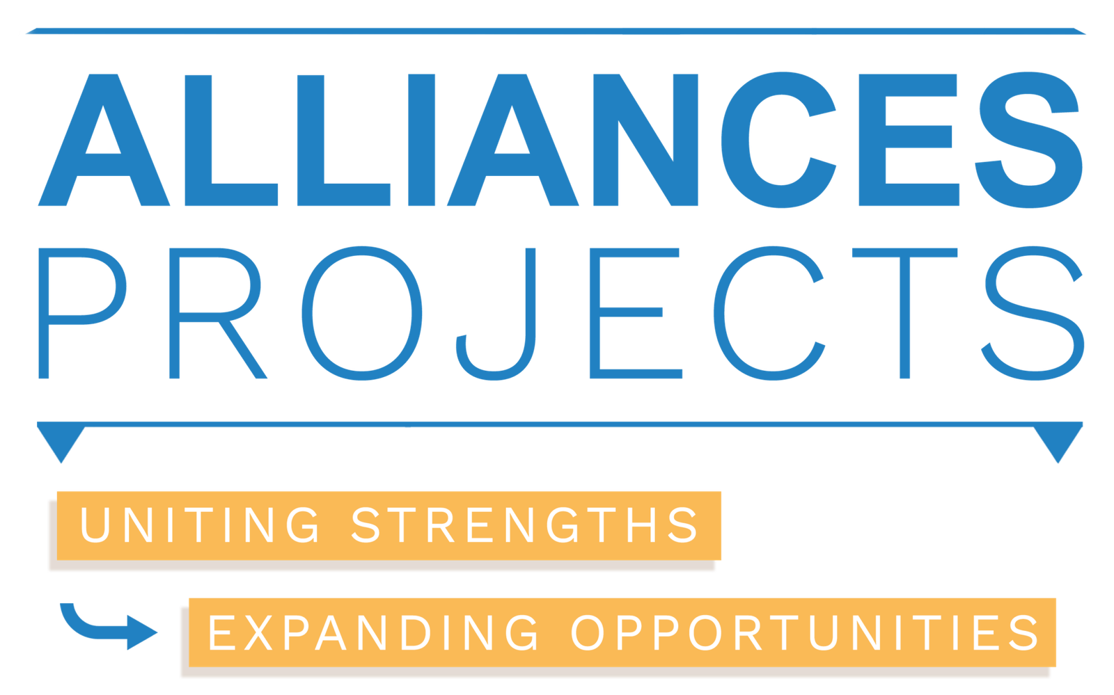 Alliances Projects Themes - Alliances